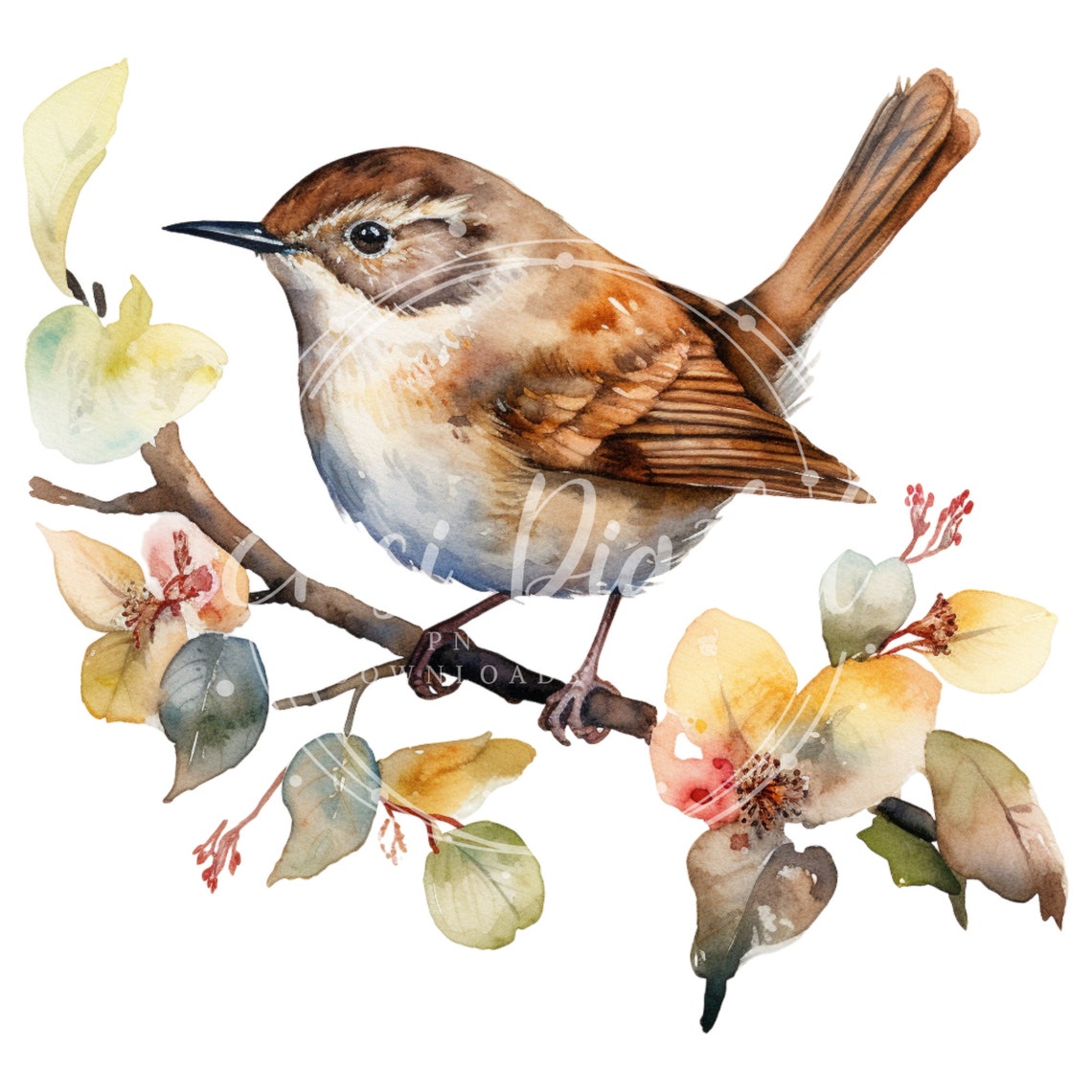 Wren Bird Clipart High-quality Transparent PNG Watercolor Illustration ...