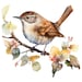 Wren Bird Clipart | High-quality Transparent PNG | Watercolor ...