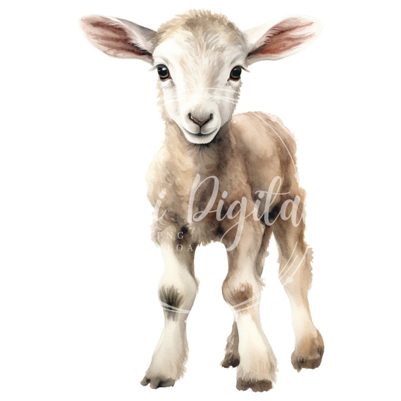 Lamb Clipart High-quality Transparent PNG Watercolor Sheep - Etsy