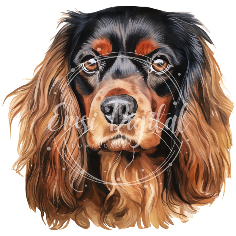 Cavalier King Charles Spaniel Clipart | High-quality Transparent PNG ...