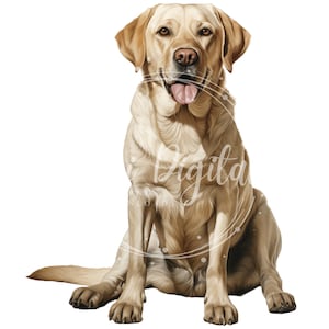 Yellow Labrador Clipart | High-quality Transparent PNG | Watercolor Dog ...