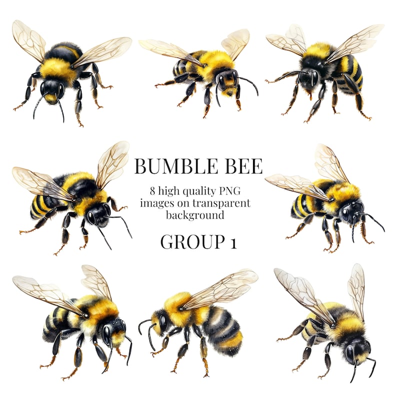 Bumble Bee Clipart High-quality Transparent PNG Watercolor - Etsy