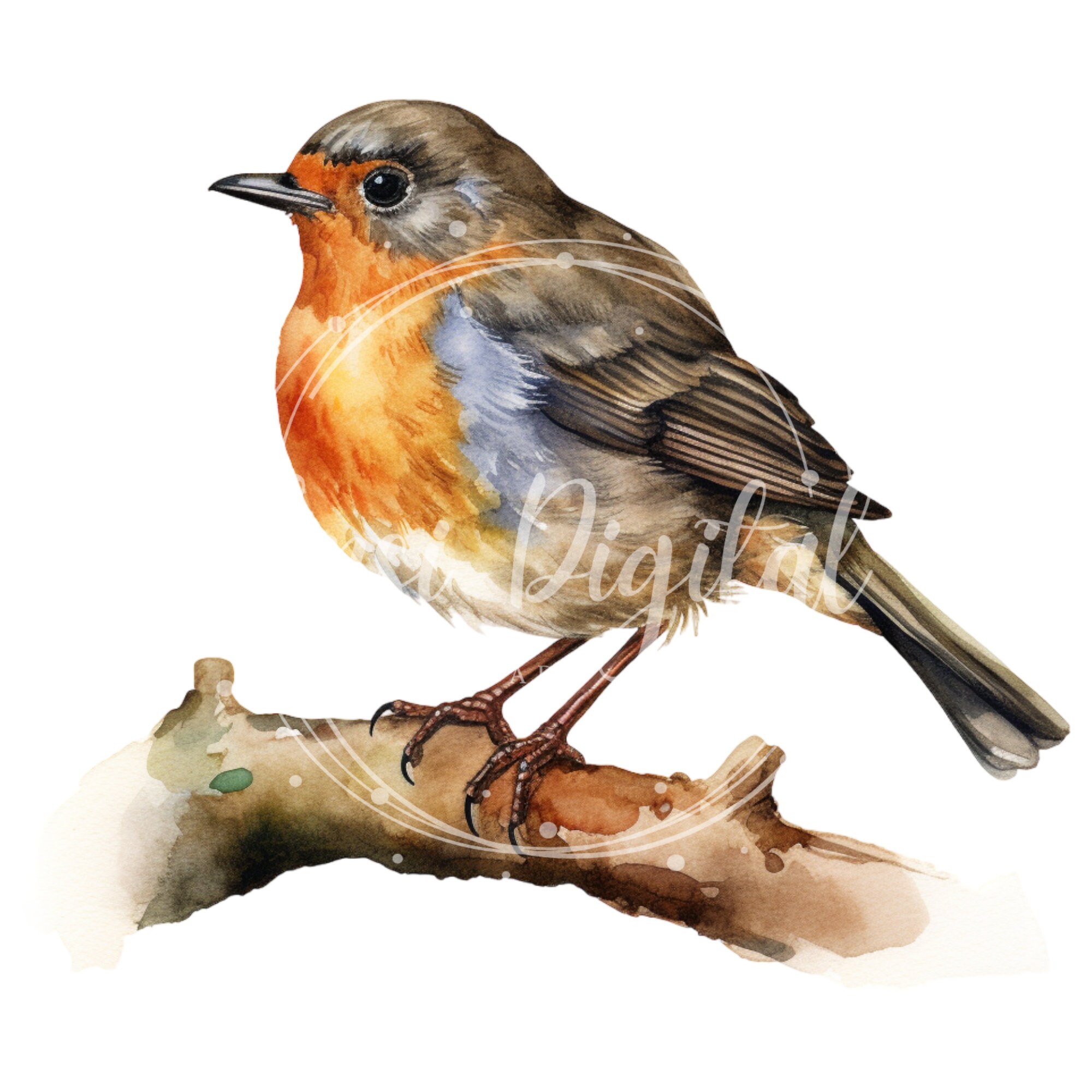 Robin Clipart High-quality Transparent PNG Watercolor Bird - Etsy
