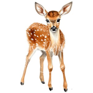 Fawn Clipart | High-quality Transparent PNG | Watercolor Deer ...