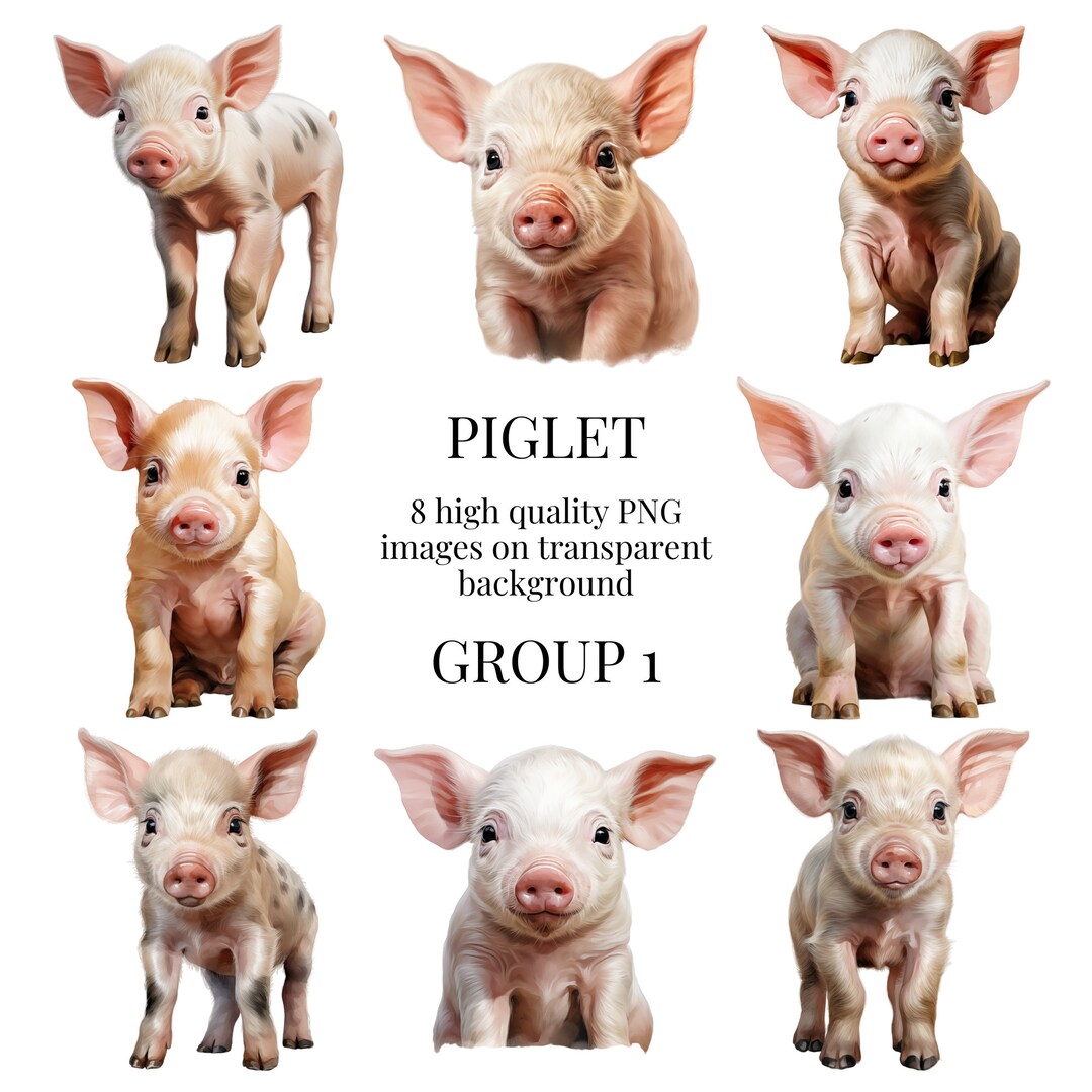 Piglet Clipart | High-quality Transparent PNG | Watercolor Pig ...