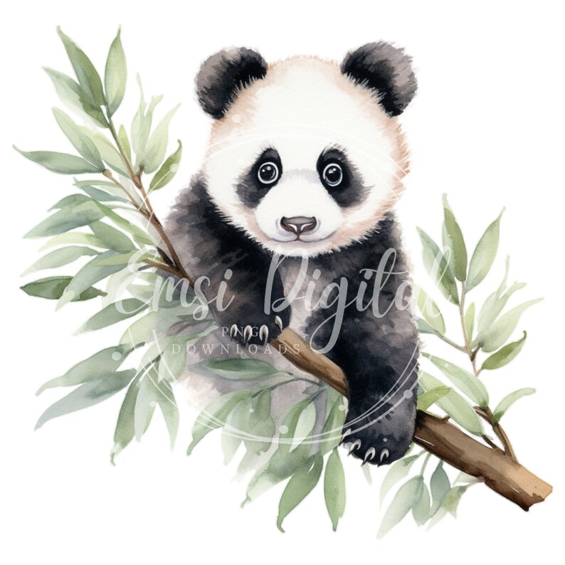 Giant Panda Clipart High-quality Transparent PNG - Etsy