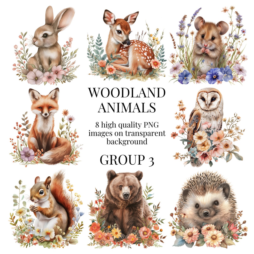 Floral Woodland Animal Clipart | High-quality Transparent PNG ...