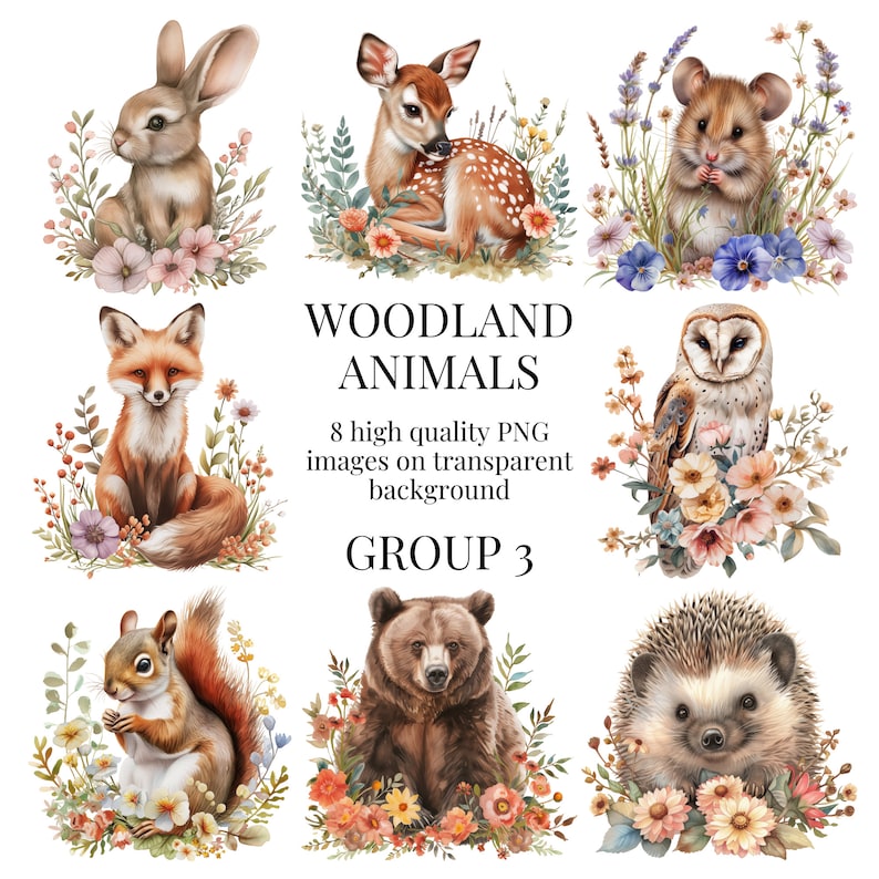 Floral Woodland Animal Clipart High-quality Transparent PNG Watercolor ...