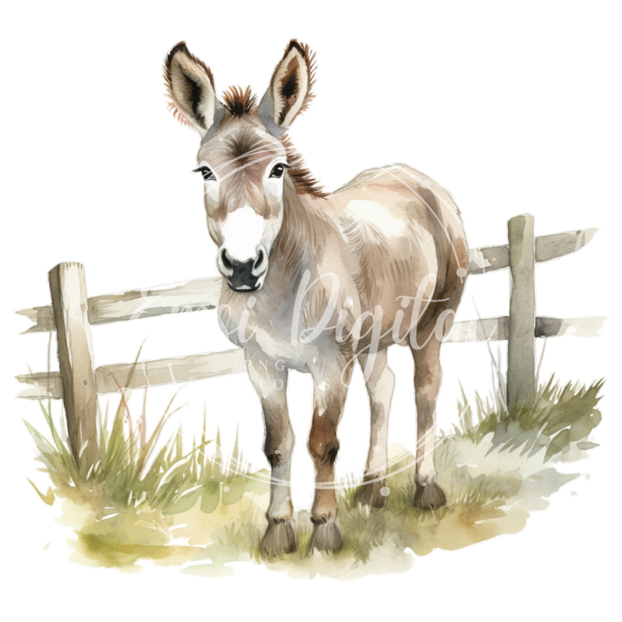 Donkey Clipart High-quality Transparent PNG Watercolor Farm Animal ...