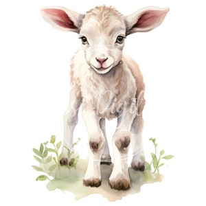 Lamb Clipart High-quality Transparent PNG Watercolor Sheep - Etsy