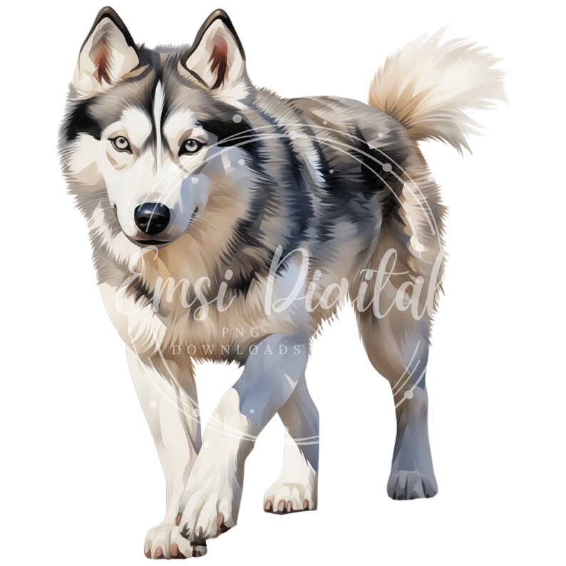 Husky Clipart | High-quality Transparent PNG | Watercolor Dog ...
