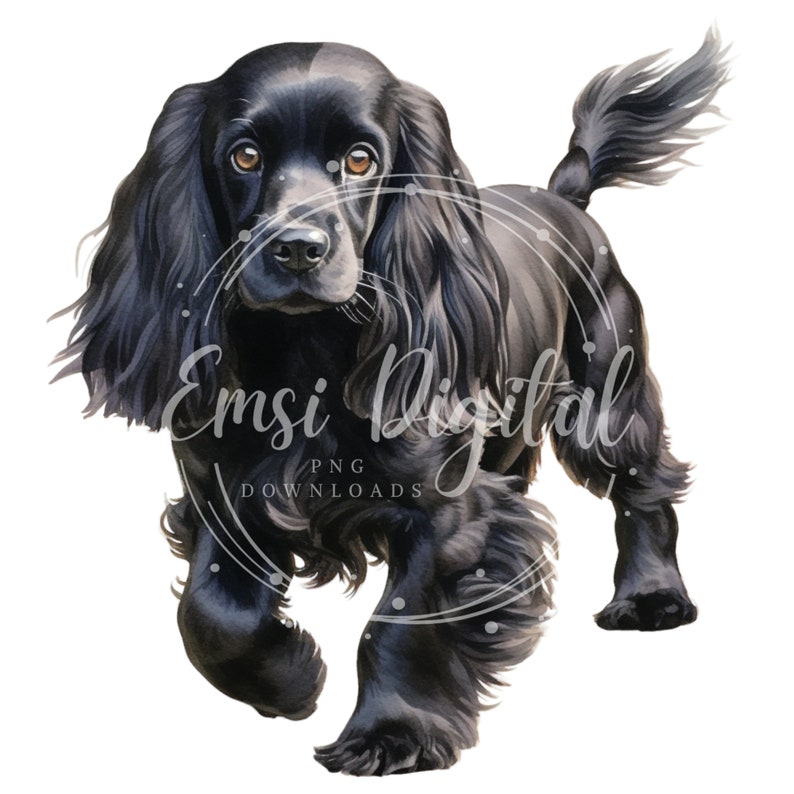 Cocker Spaniel Clipart | High-quality Transparent PNG | Watercolor Dog ...