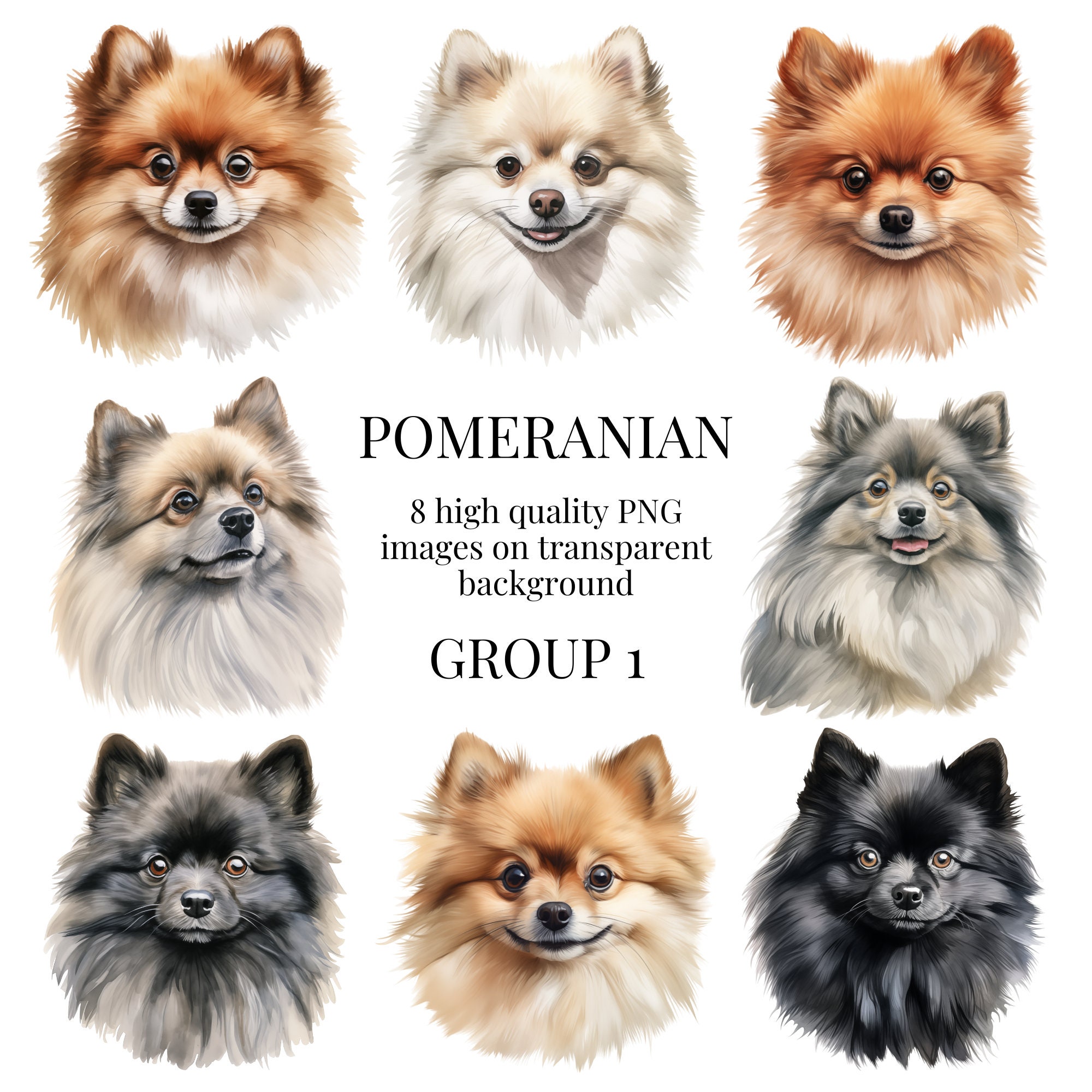 Pomeranian Clipart | High-quality Transparent PNG | Watercolor Dog ...