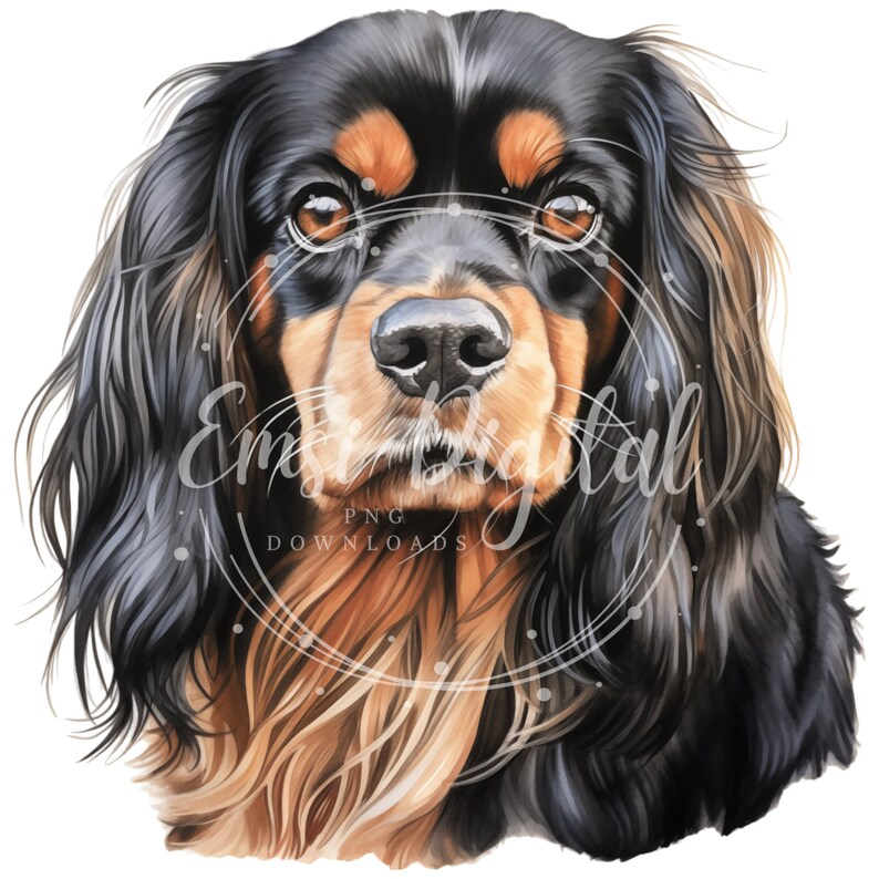 Cavalier King Charles Spaniel Clipart | High-quality Transparent PNG ...