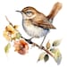 Wren Bird Clipart | High-quality Transparent PNG | Watercolor ...