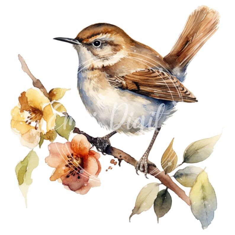 Wren Bird Clipart High-quality Transparent PNG Watercolor Illustration ...
