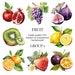 Fruit Clip Art | Transparent PNG | Watercolor Illustration | Kitchen ...
