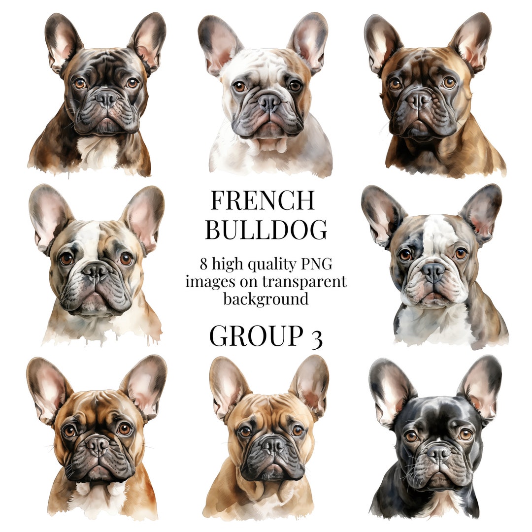 French Bulldog Clipart | High-quality Transparent PNG | Watercolor ...