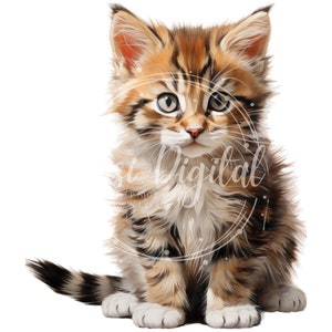 Kitten Clipart High-quality Transparent PNG Watercolor Cat Illustration ...