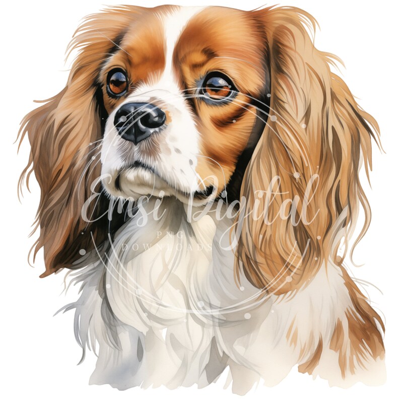 Cavalier King Charles Spaniel Clipart | High-quality Transparent PNG ...