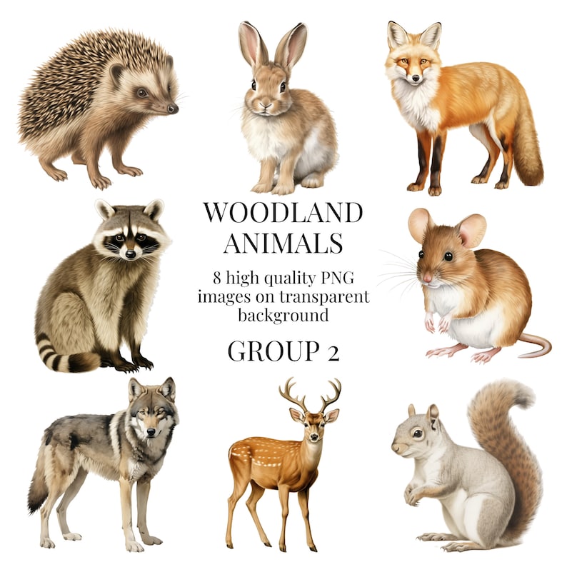 Woodland Animal Clipart | High-quality Transparent PNG | Watercolor ...