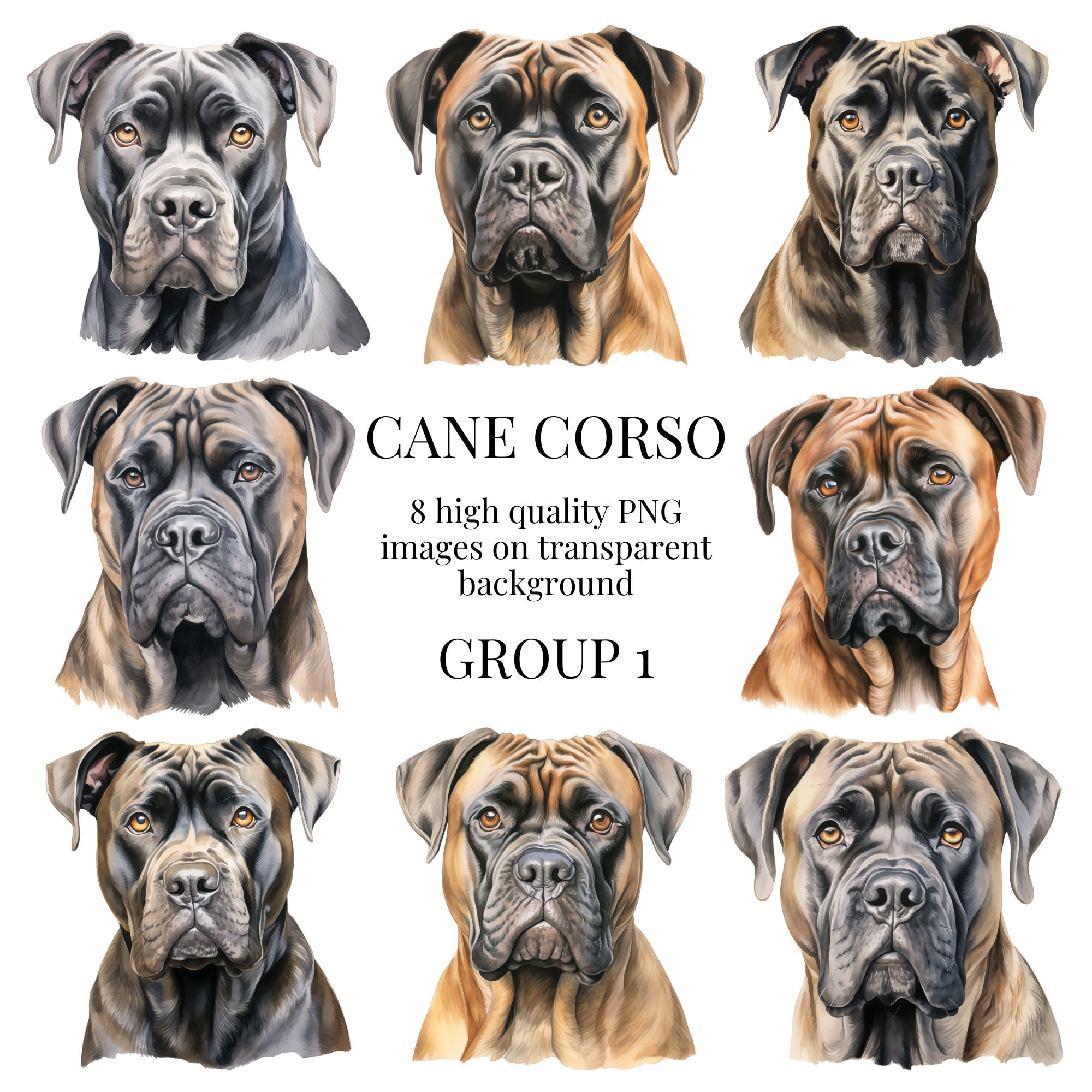 Cane Corso Clipart | High-quality Transparent PNG | Watercolor ...