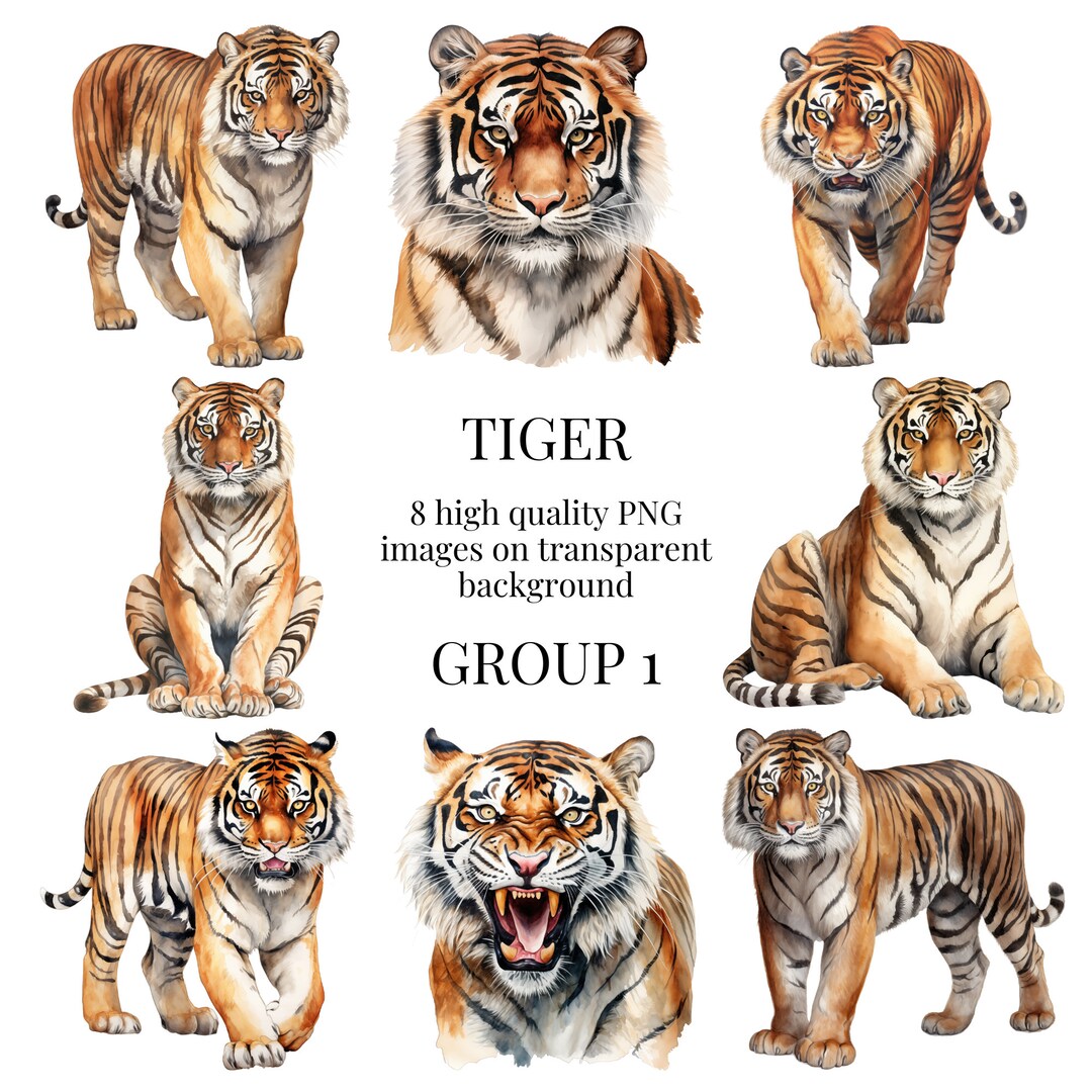 Tiger Clipart | High-quality Transparent PNG | Watercolor Jungle ...