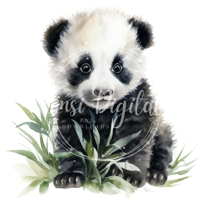Giant Panda Clipart High-quality Transparent PNG - Etsy