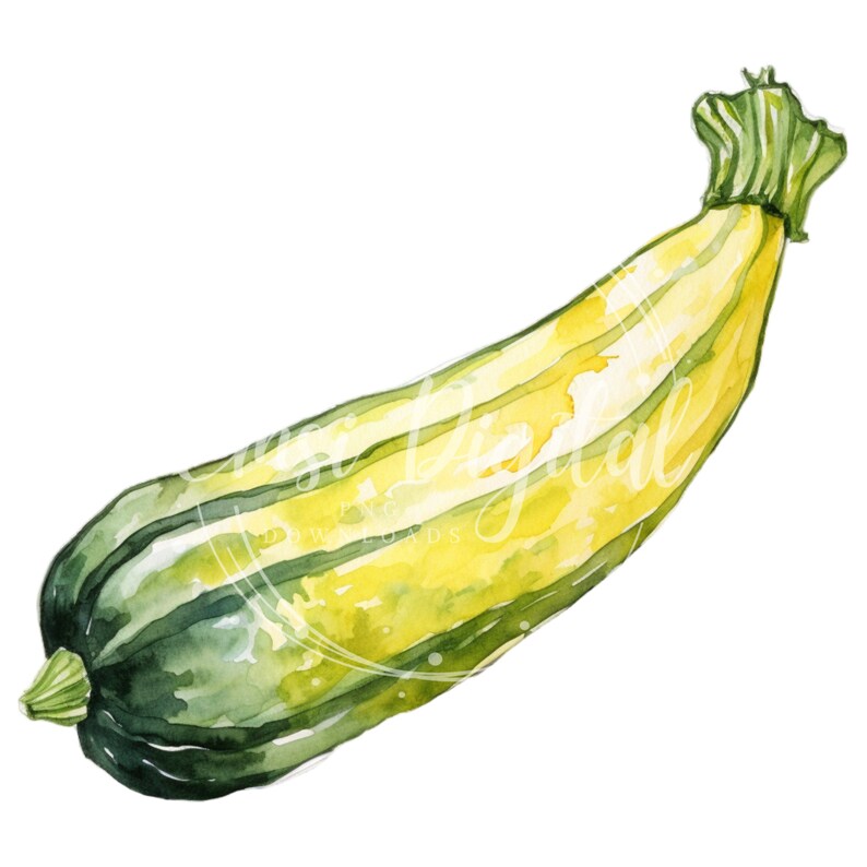 Vegetable Clipart Transparent PNG High-quality Watercolor - Etsy