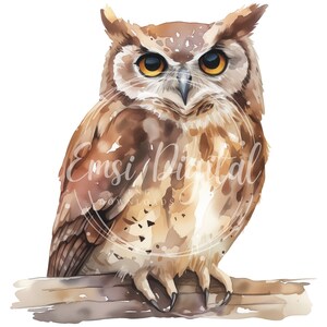 Owl Clipart | High-quality Transparent PNG | Watercolor Illustration ...