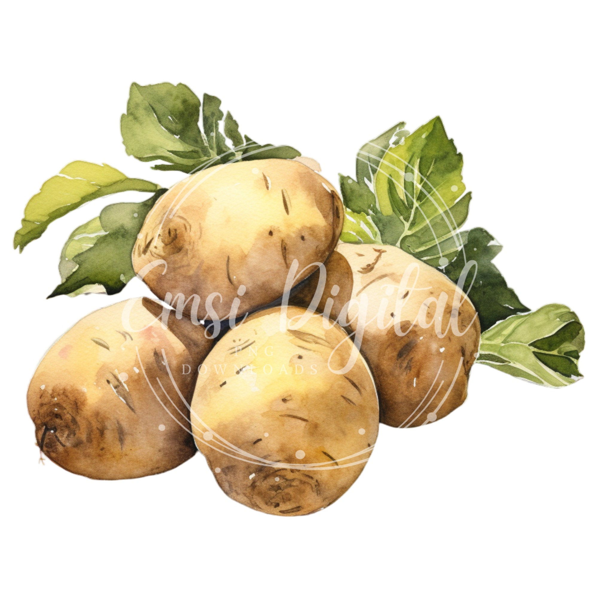 Vegetable Clipart Transparent PNG High-quality Watercolor - Etsy