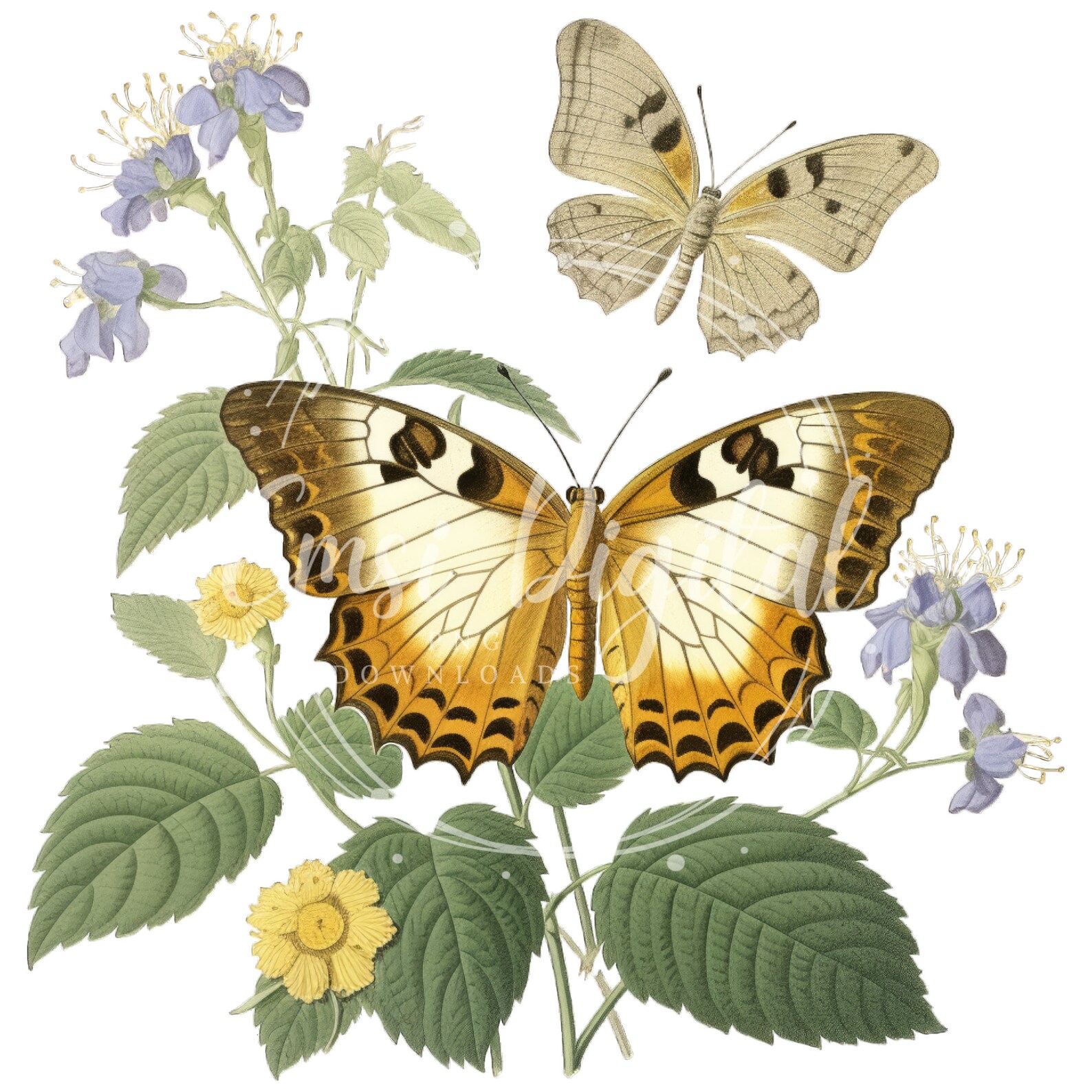 Botanical Butterflies Clipart High-quality Transparent PNG - Etsy