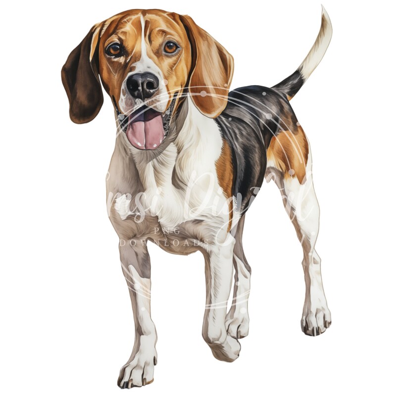 Beagle Clipart | High-quality Transparent PNG | Watercolor Hunting Dog ...