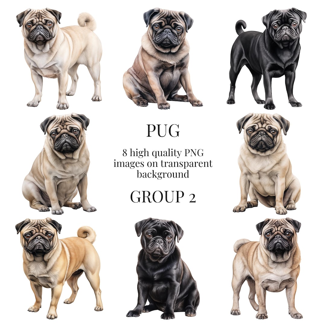 Pug Clipart | High-quality Transparent PNG | Watercolor Dog ...
