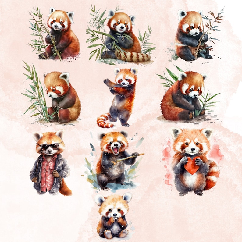 Red Panda Clipart Png Digital Download Watercolor Red Pandas - Etsy