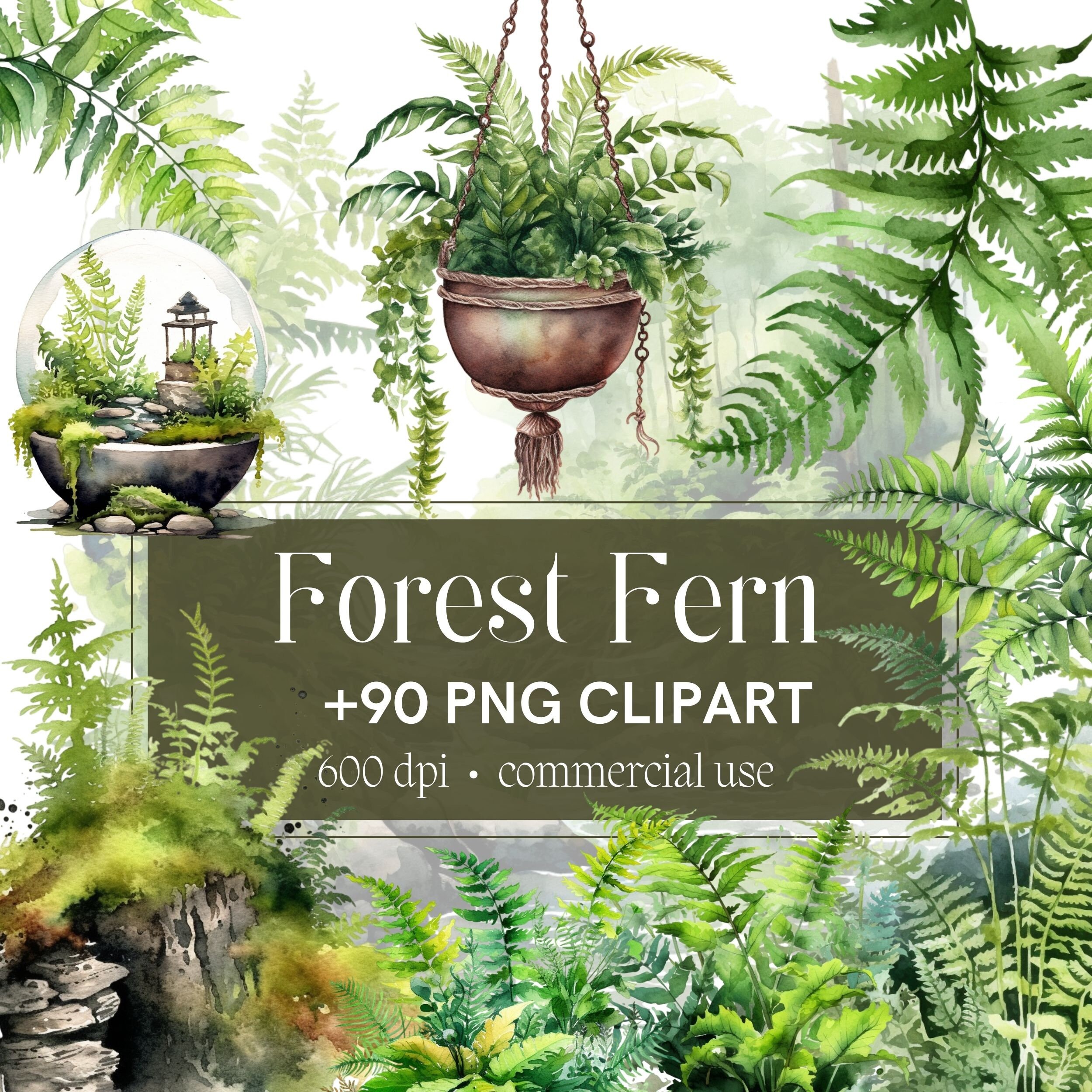 Watercolor Ferns Clipart Boundle, Fern Leaves, House Plant Potted and ...