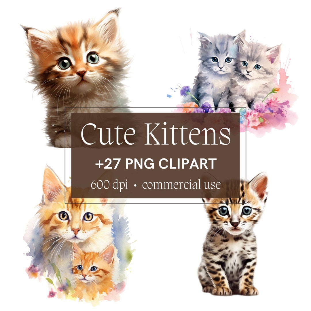 Kitten Watercolor Clipart 27 High Quality Jpgs Cute Floral - Etsy