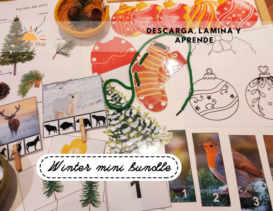 Winter Mini Bundle, Winter. Montessori Activities for Toddler and ...