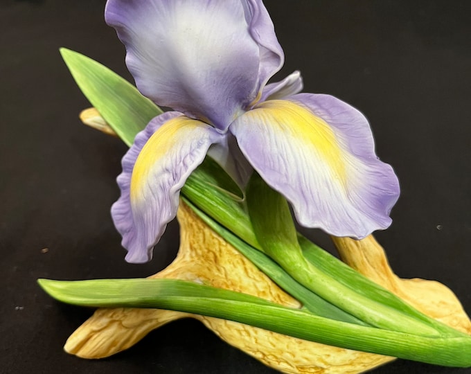 Purple Mere Iris Andrea by Sadek Vtg Porelain 1984 Flower - Etsy