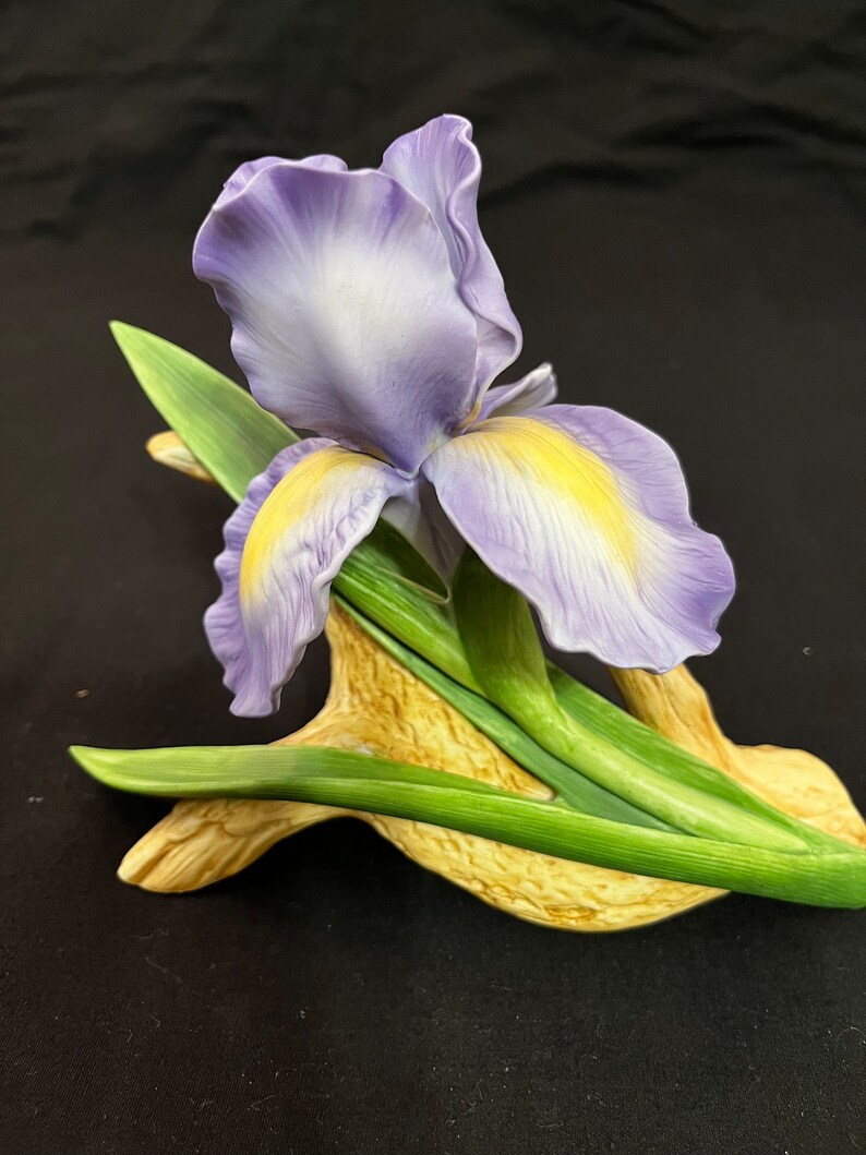 Purple Mere Iris Andrea by Sadek Vtg Porelain 1984 Flower - Etsy