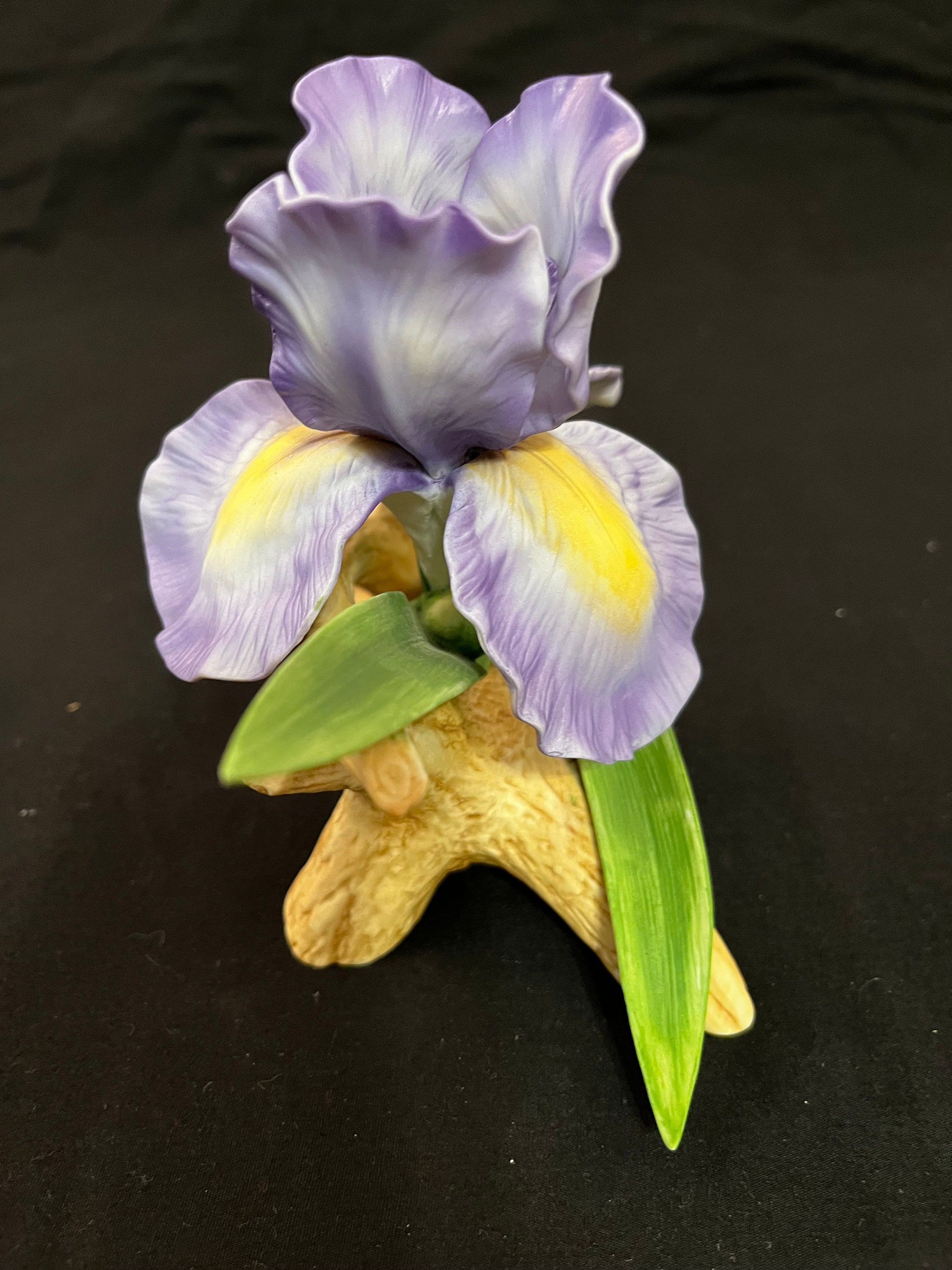 Purple Mere Iris Andrea by Sadek Vtg Porelain 1984 Flower - Etsy