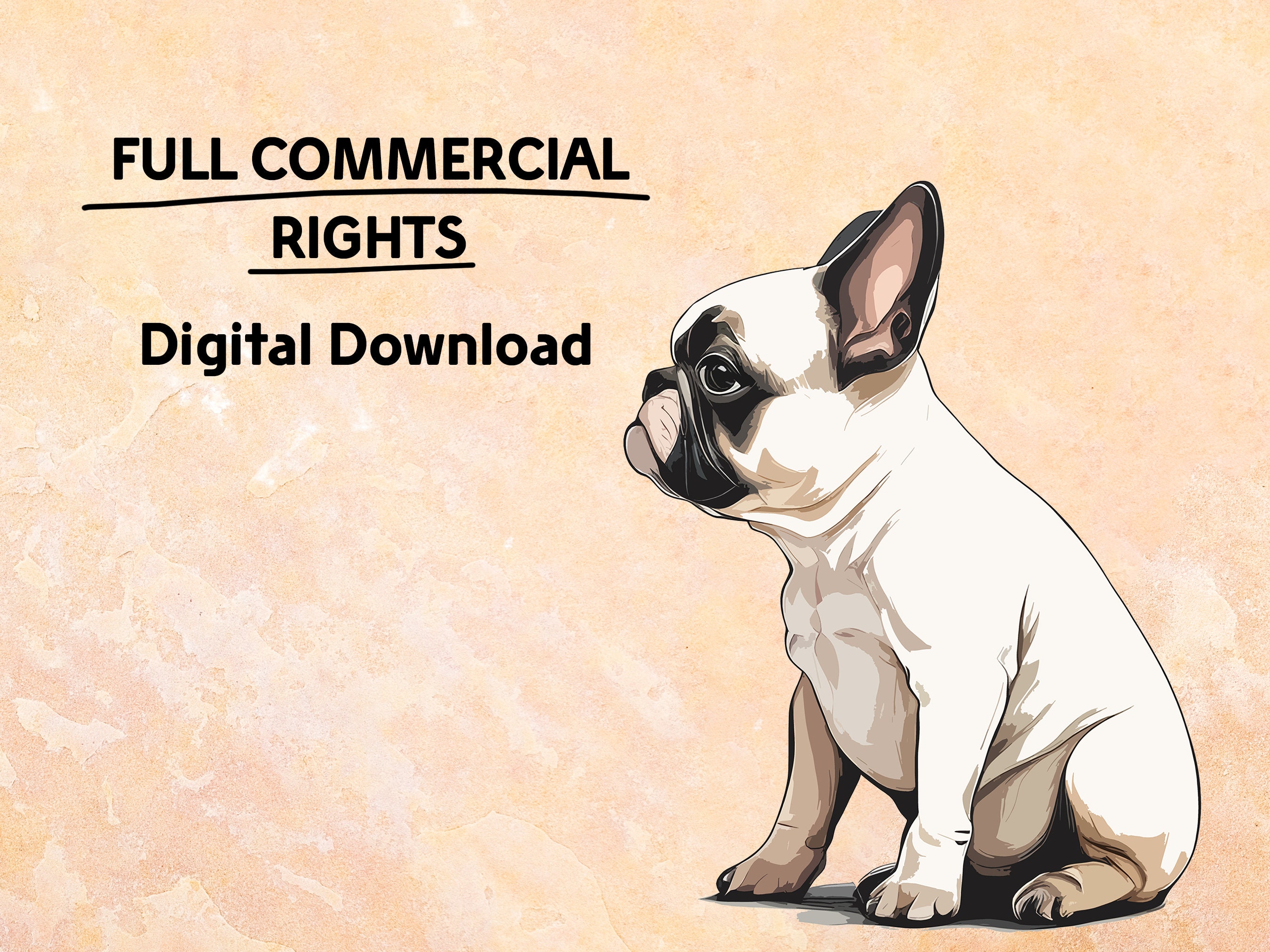 Cartoon French Bulldog Clipart, Frenchie Dogs, Canines and Puppies, PNG ...