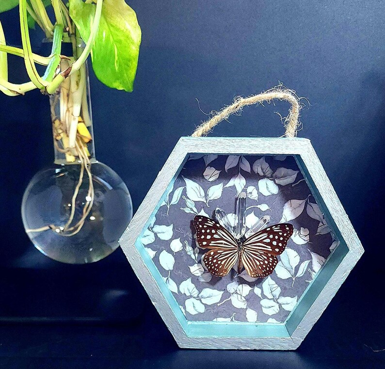 Blue Tiger Butterfly - Etsy