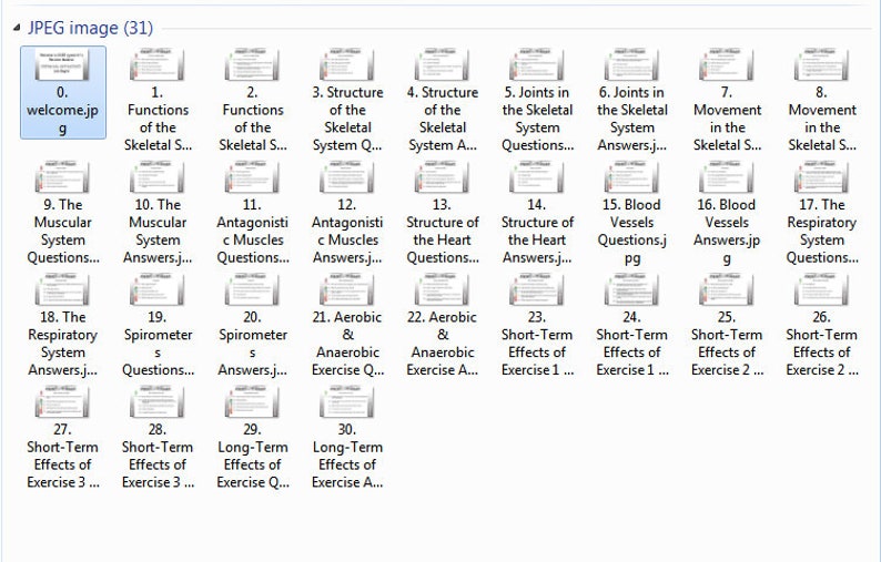 GCSE Physical Education Flashcards Revision Material - Etsy