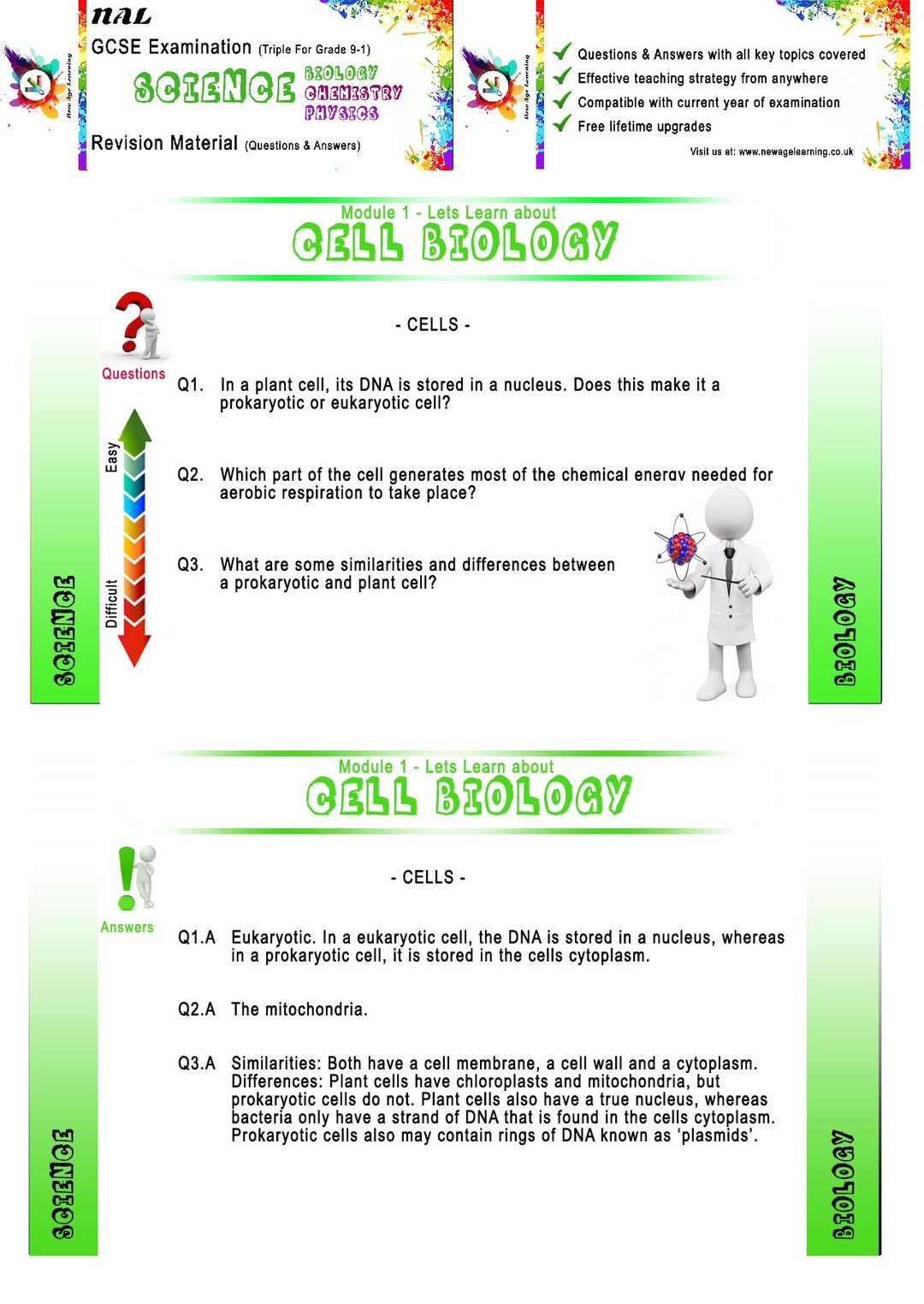 Science Biology Flashcards at Elijah Elliston blog