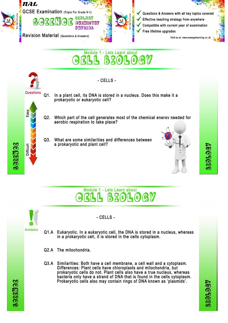GCSE Science Biology Flashcards Revision Material Official - Etsy