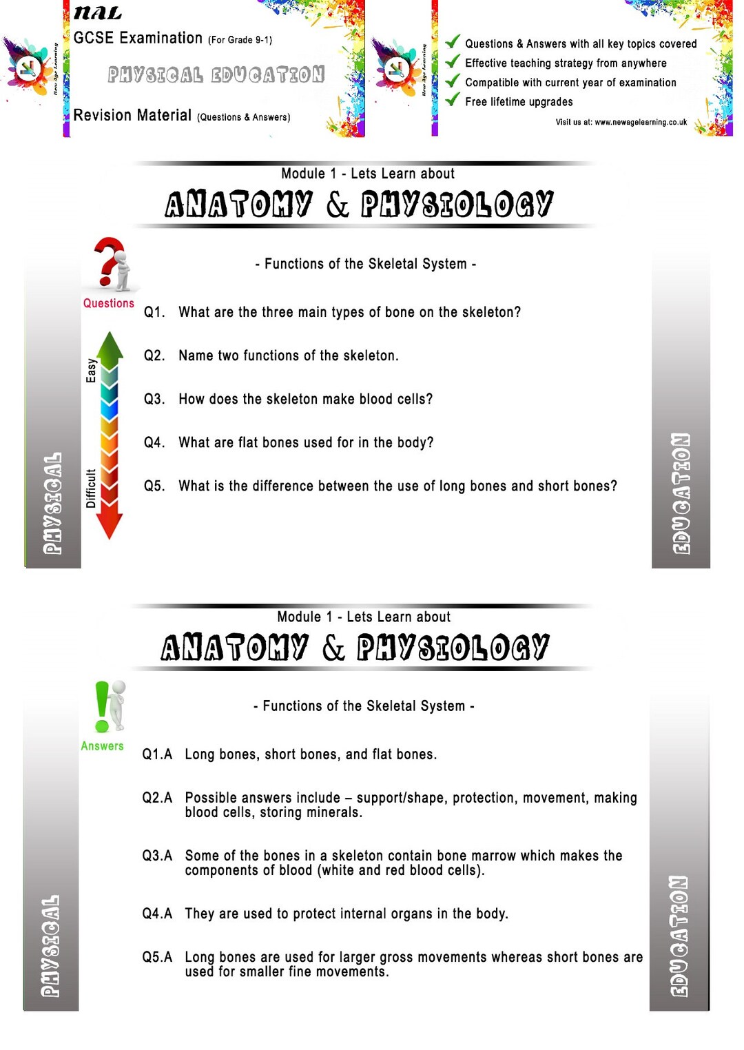 GCSE Physical Education Flashcards Revision Material Official AQA - Etsy