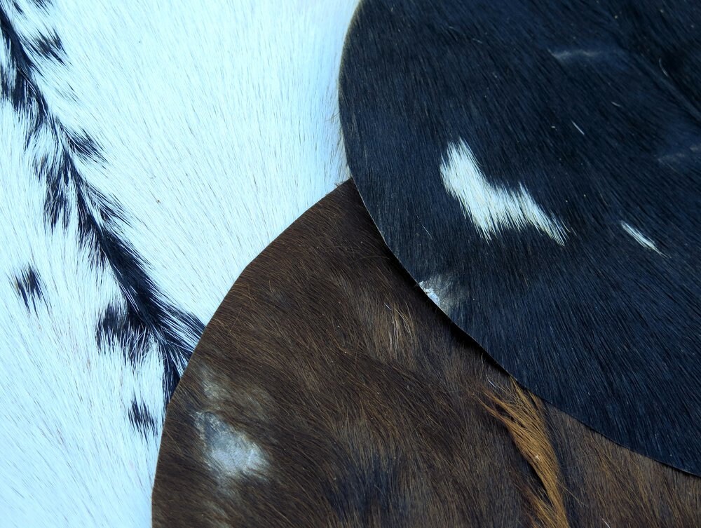 Goat Skins for Instrument Making and Crafting. Photos Are ...