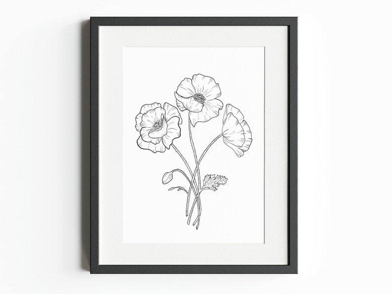 August Birth Month Flower (poppy) – INSTANT DIGITAL DOWNLOAD, Birth ...