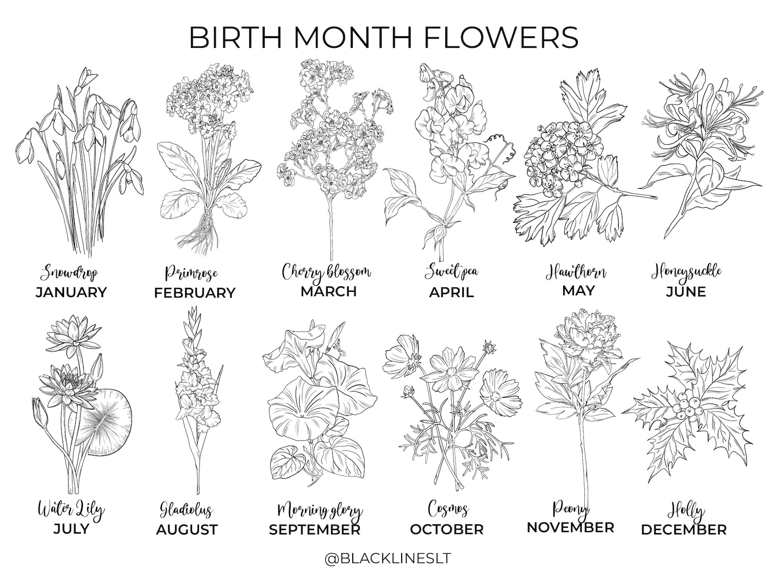 June Birth Month Flower (honeysuckle) – INSTANT DIGITAL DOWNLOAD, Birth ...